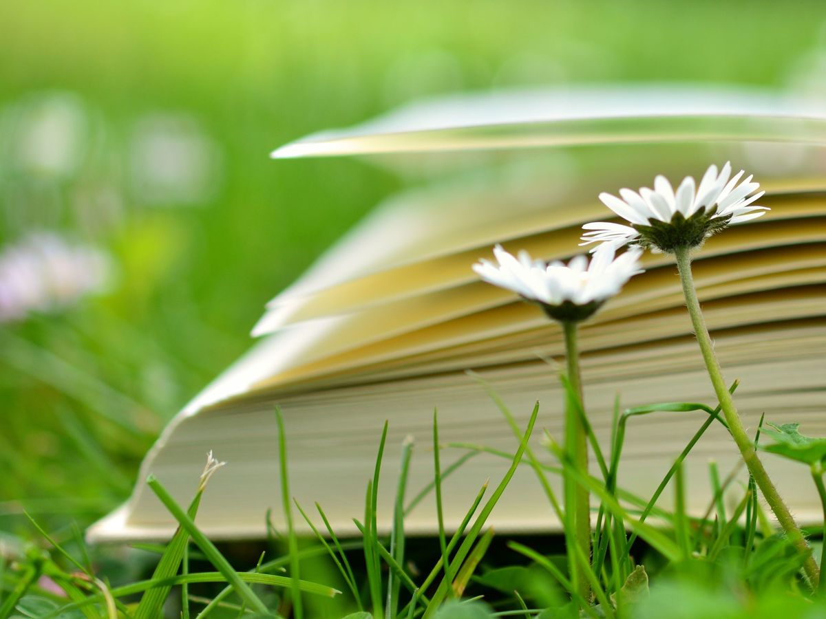 Isabella Weiss | Our Team | Another Chapter Counselling